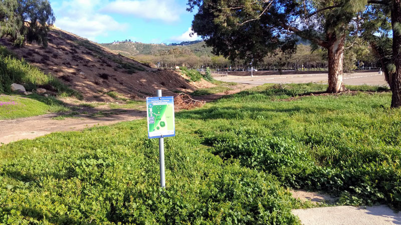 Course Examples - Disc Golf Drive