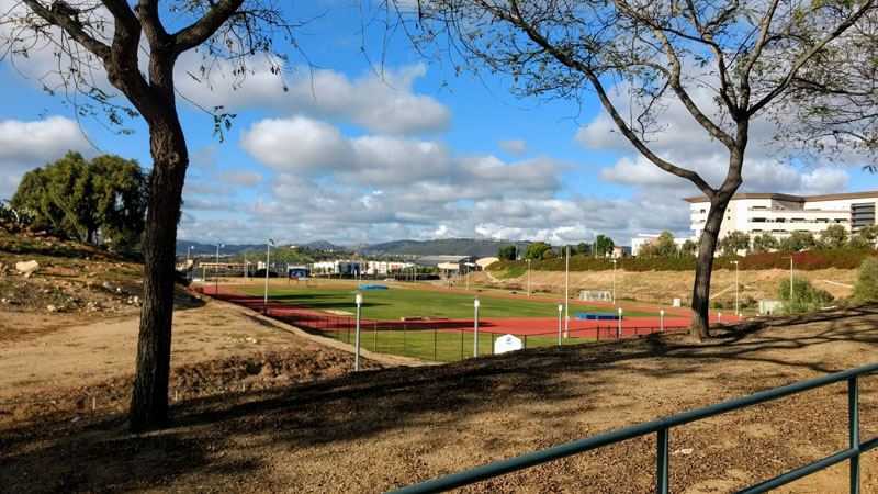 Course Examples - Disc Golf Drive